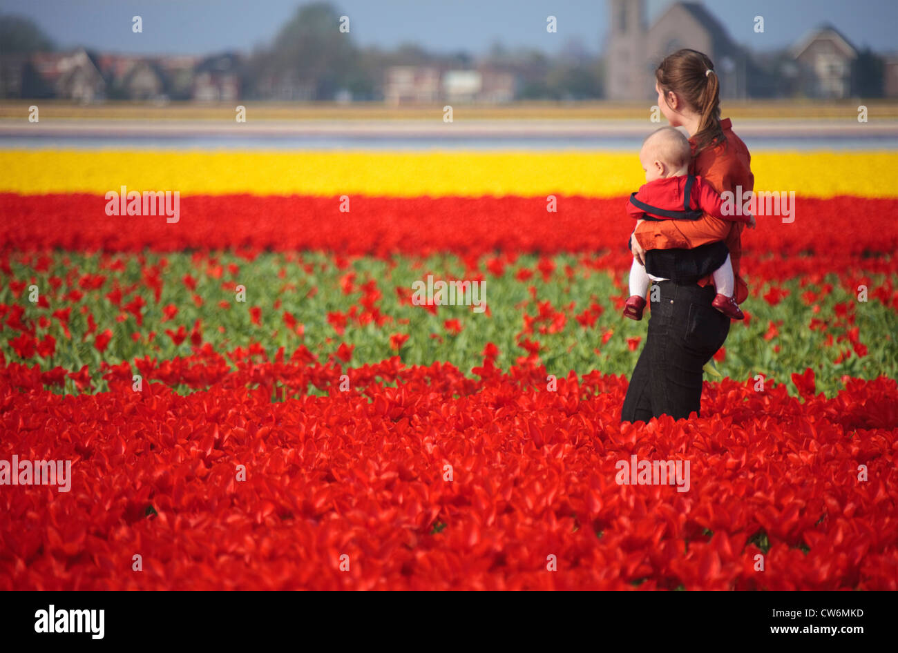 common garden tulip (Tulipa gesneriana), Mother and baby girl in red ...