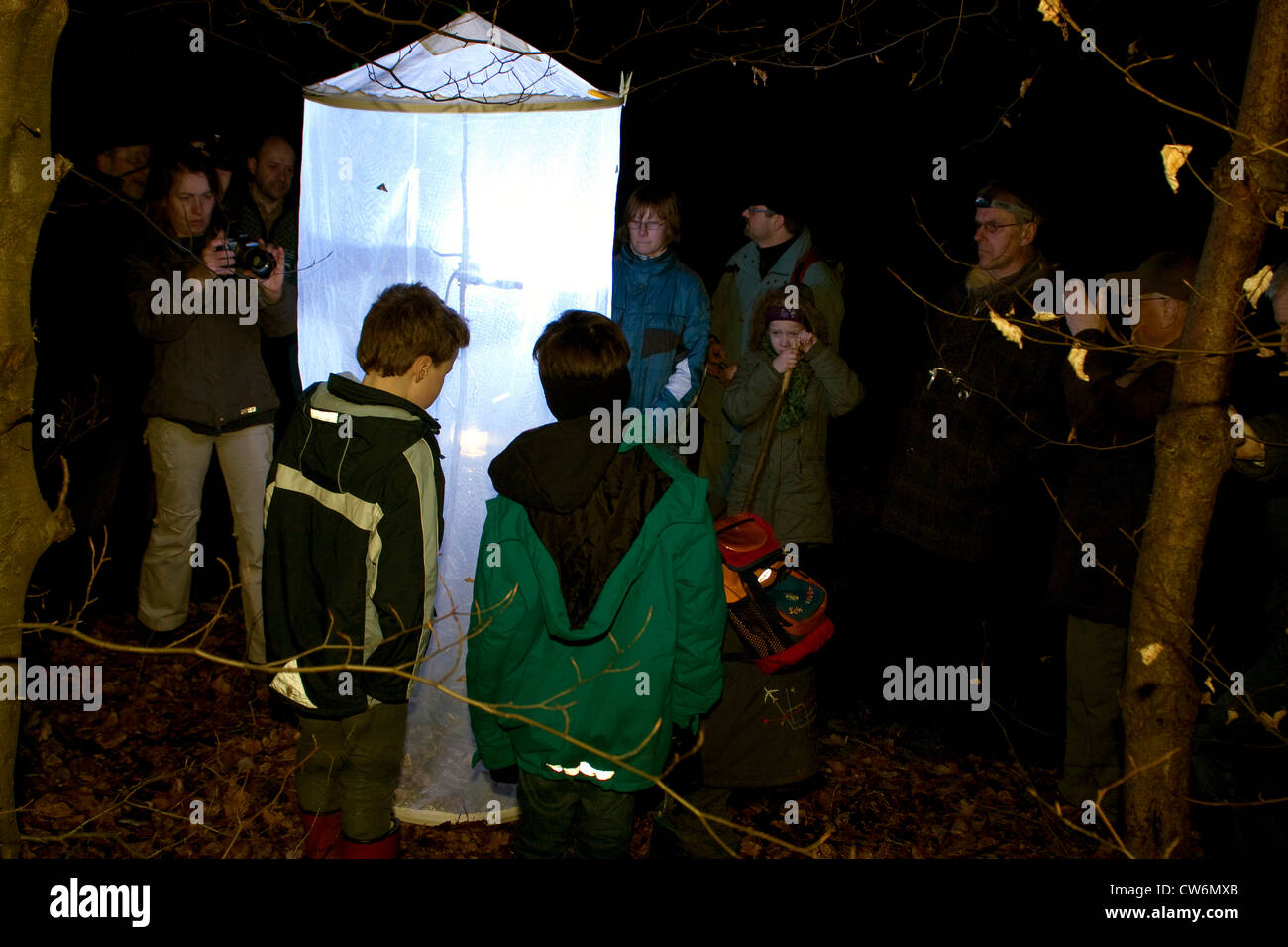 Moths in light hi-res stock photography and images - Alamy