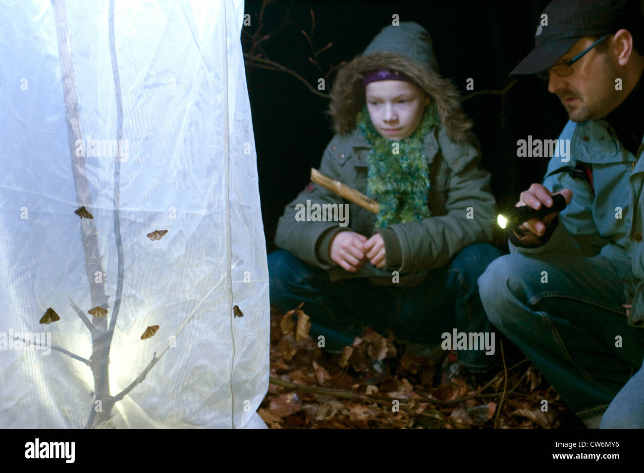 Moths in light hi-res stock photography and images - Alamy