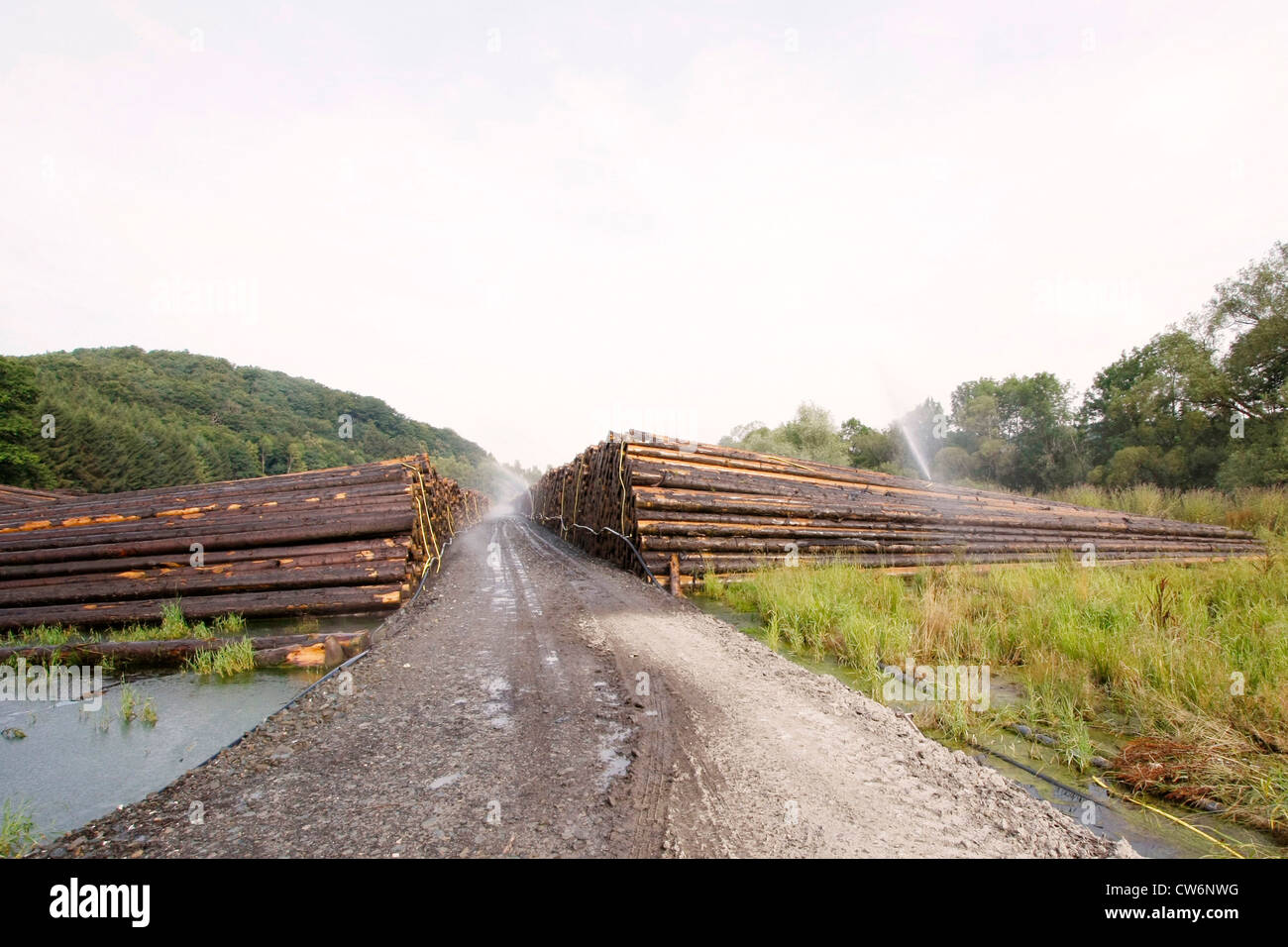 wet wood storage, Germany Stock Photo - Alamy