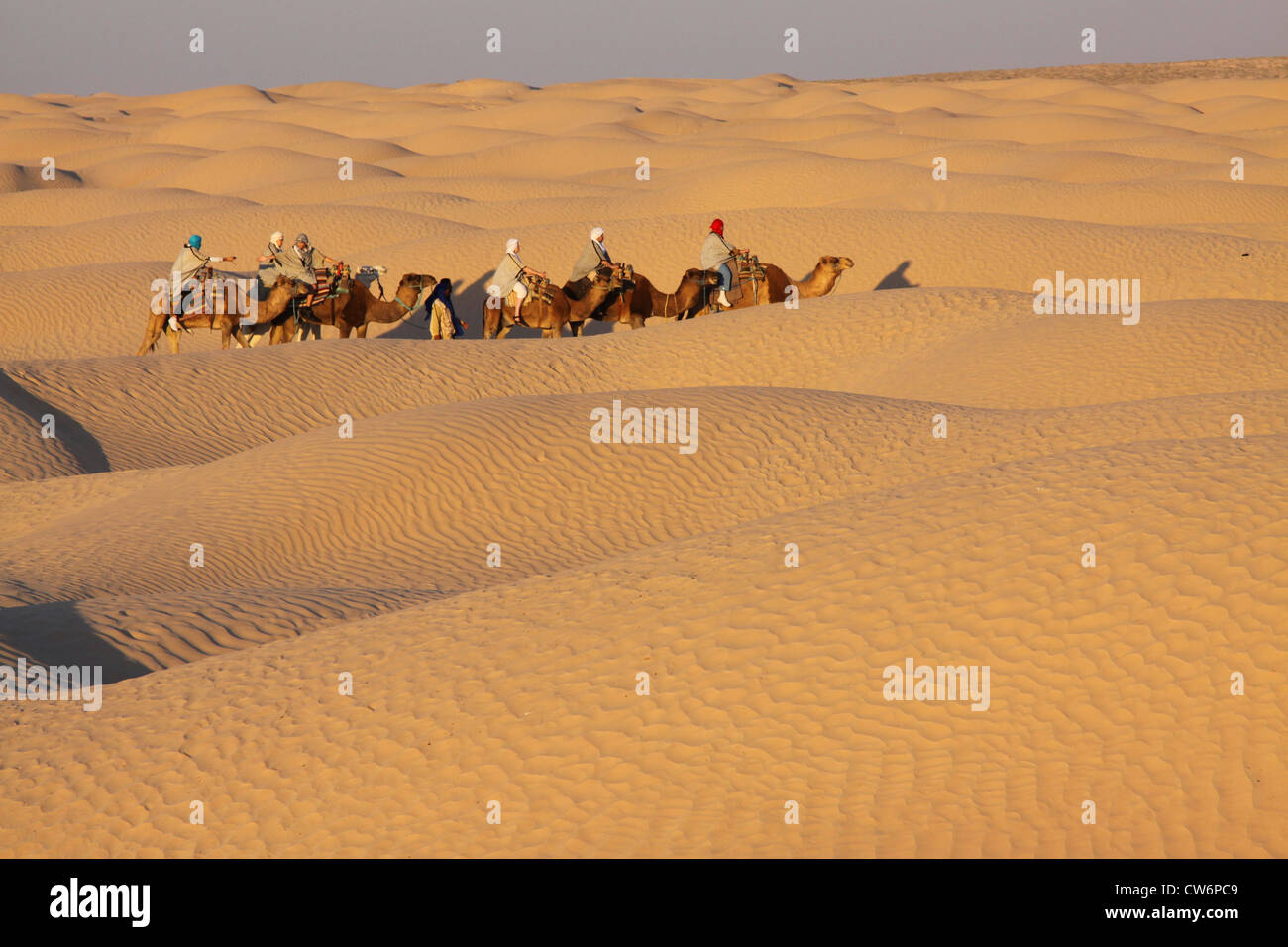 Douz hi-res stock photography and images - Alamy