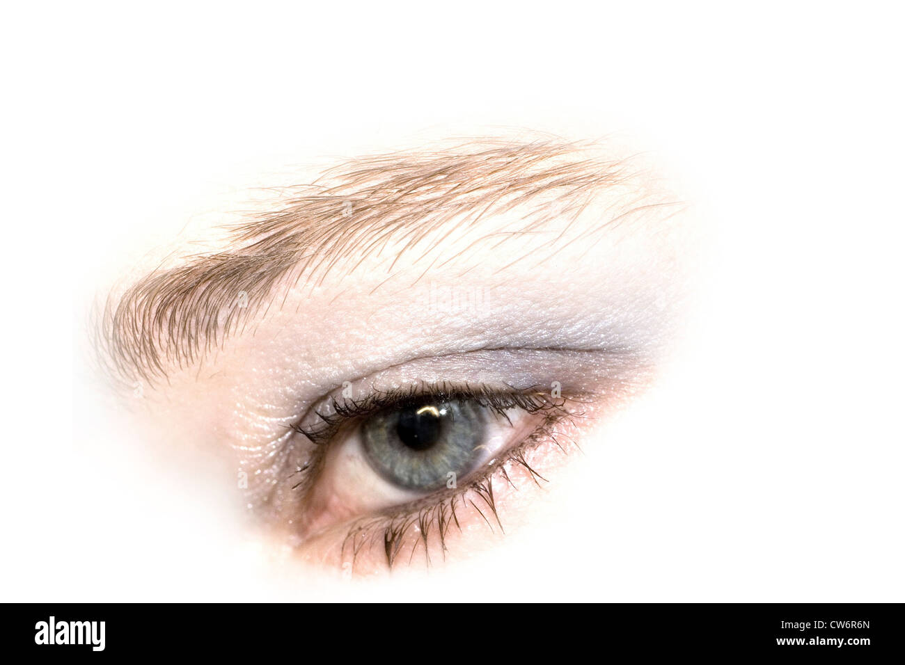 Horizontal section human eye Cut Out Stock Images & Pictures - Alamy