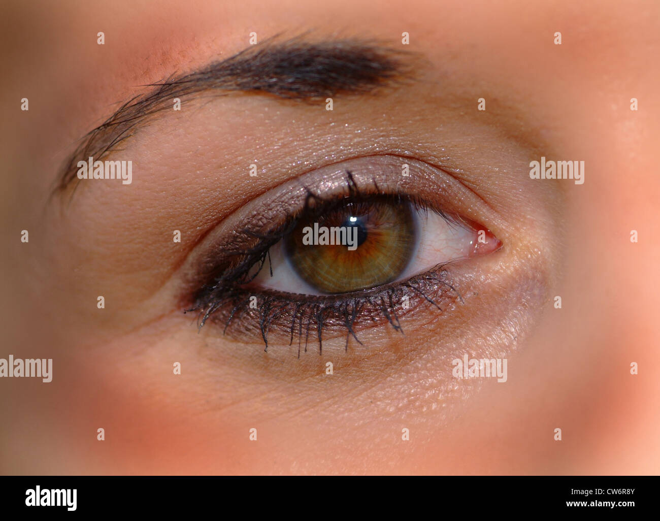 Person staring horizon hi-res stock photography and images - Alamy