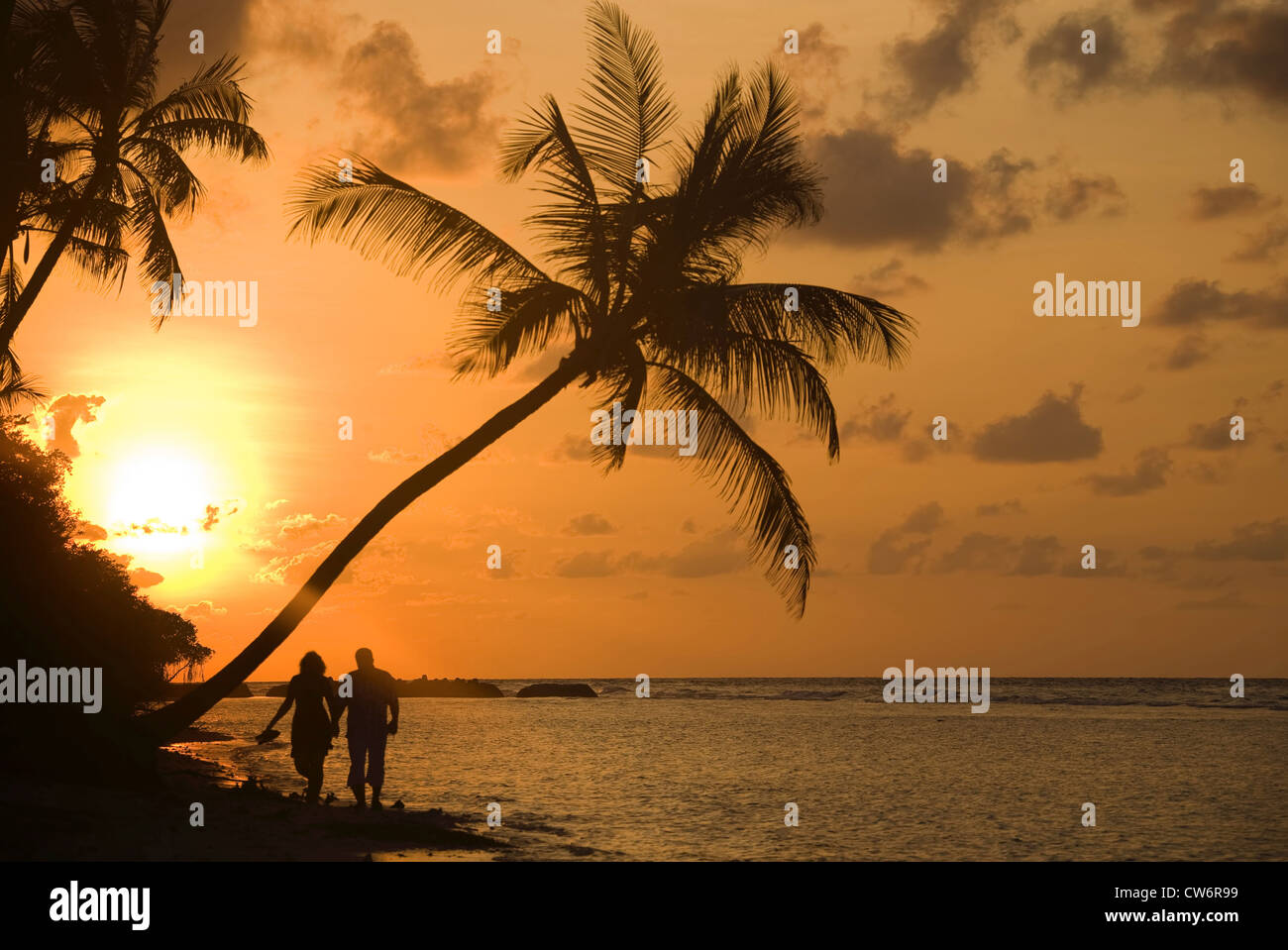 sunset at the dream beach, love couple walking along the beach Stock ...