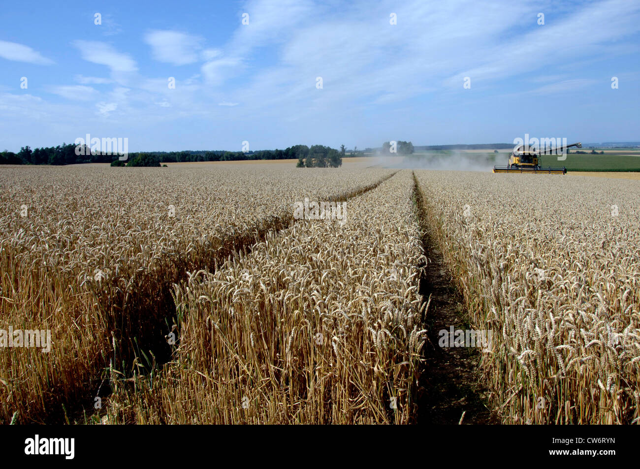 harvester harvesting a wheat field, Germany, Bavaria Stock Photo - Alamy
