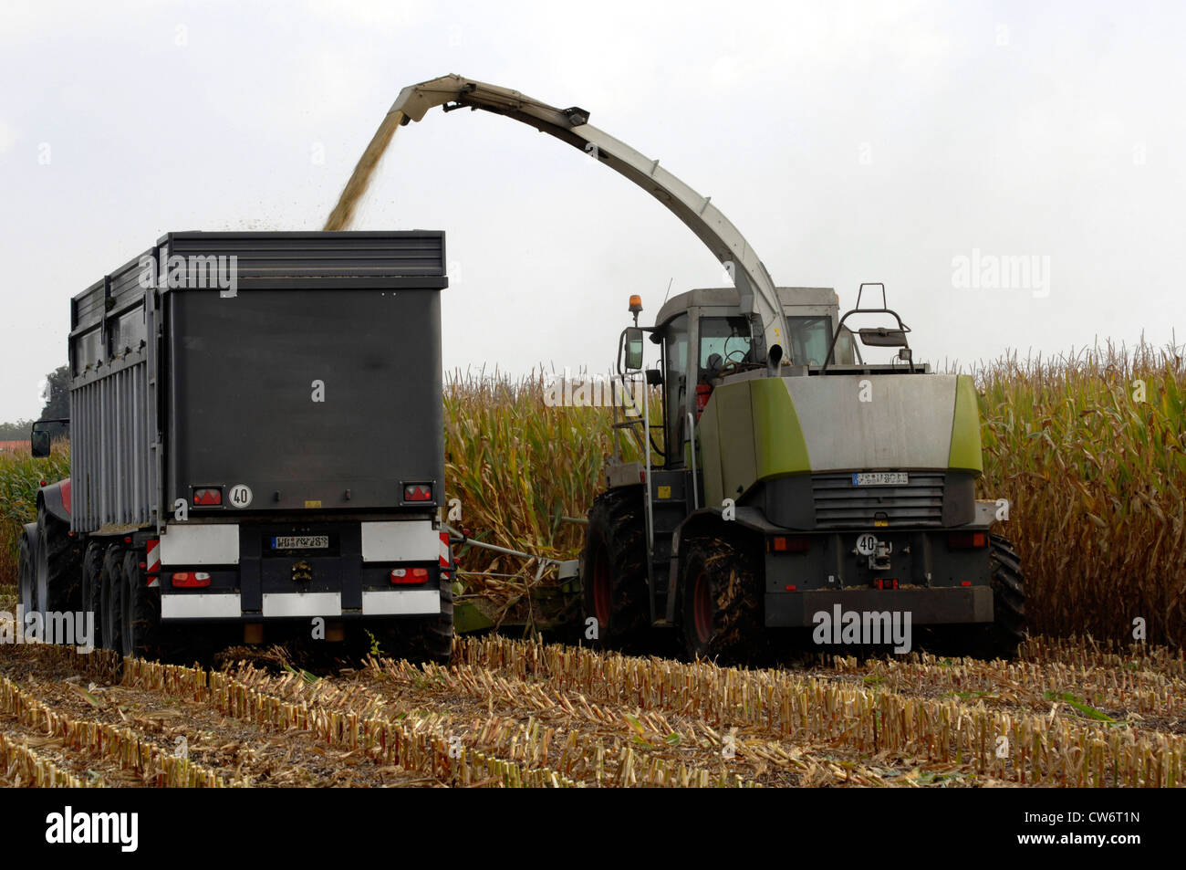 Tractor harvesting corn hi-res stock photography and images - Alamy