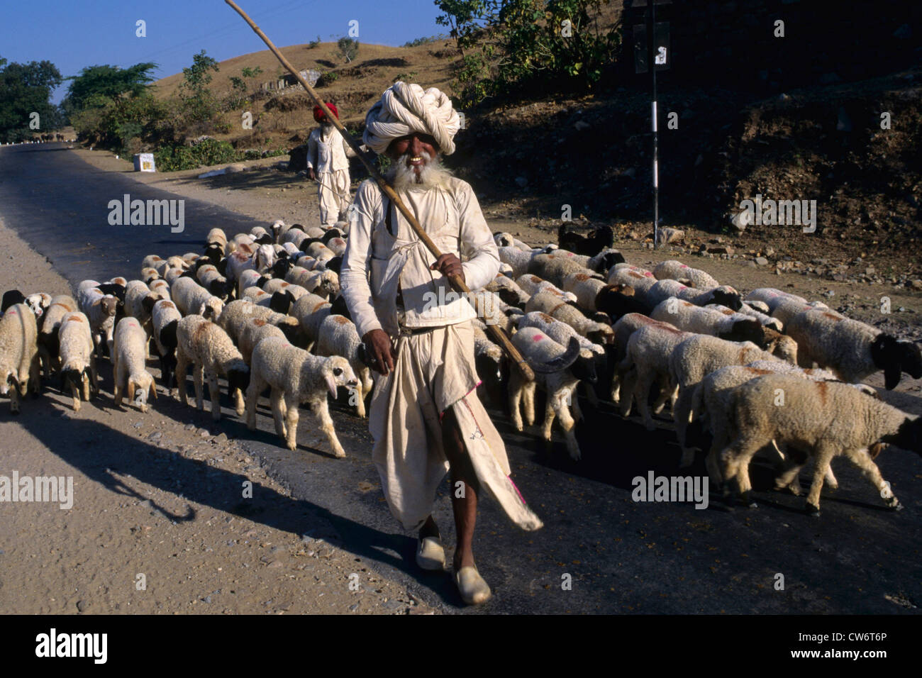 India shepherd hi-res stock photography and images - Alamy