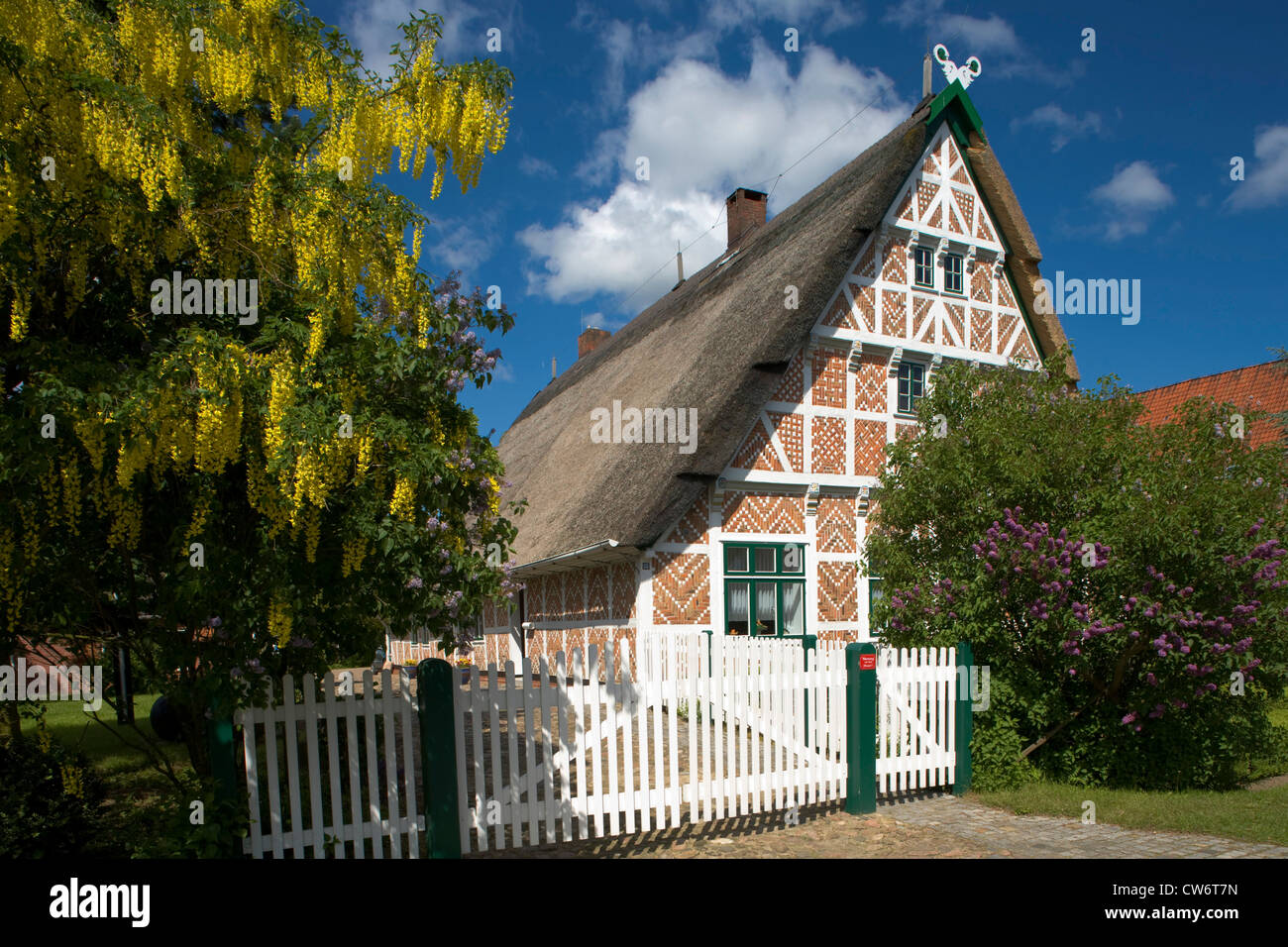 Timber lattice roof hi-res stock photography and images - Alamy