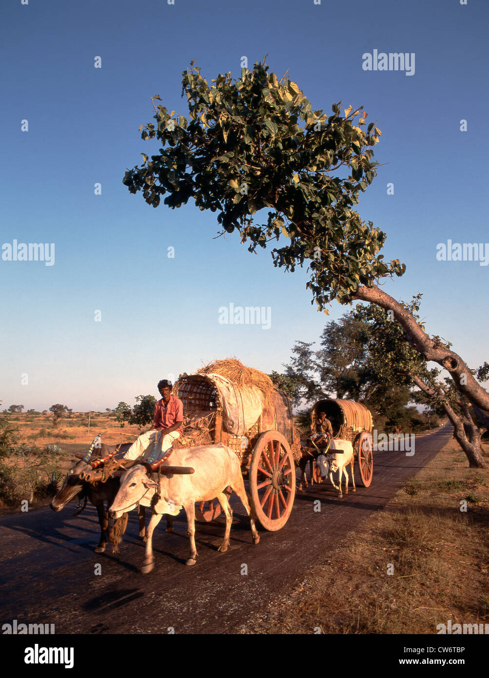 India Karnataka bullock cart Stock Photo - Alamy