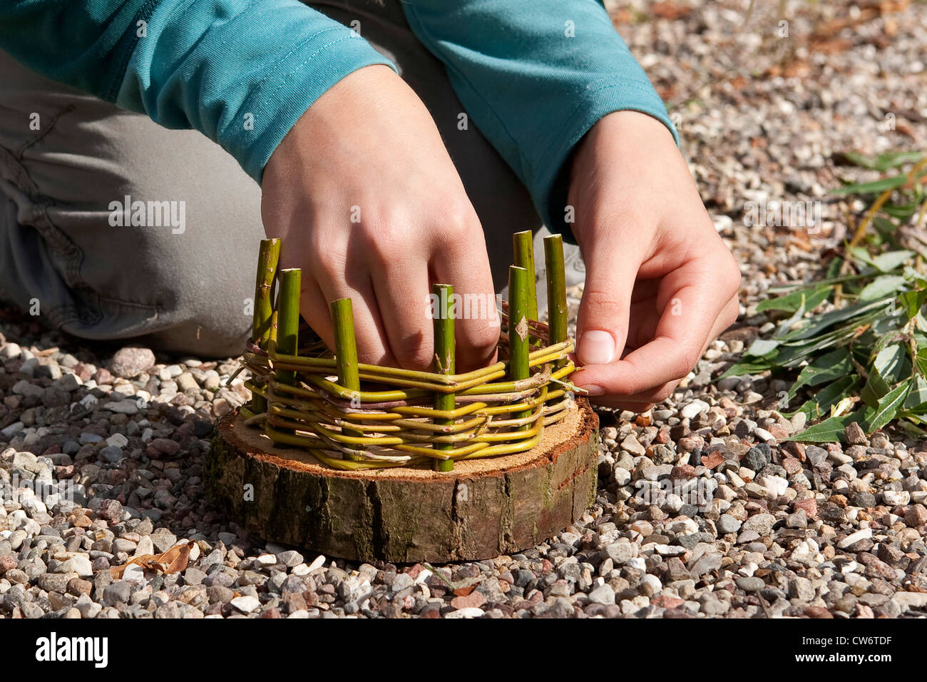 girl building an Easter basket from a tree disc, willow twigs, moss ...