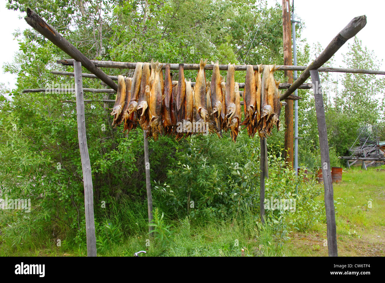 Dried salmons hi-res stock photography and images - Alamy