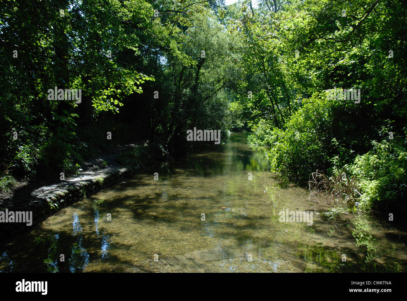 Frome water hi-res stock photography and images - Alamy