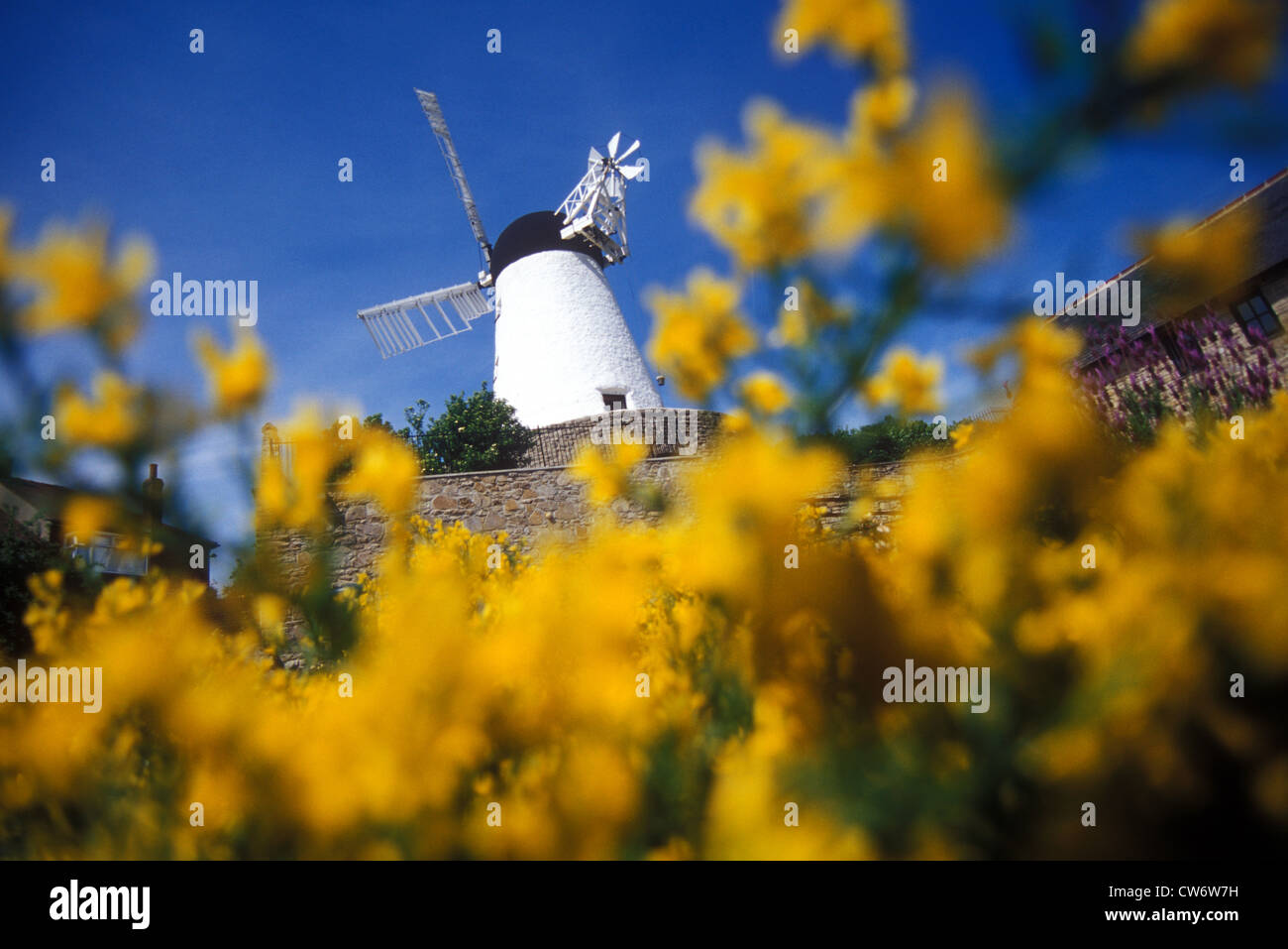 Fulwell windmill hi-res stock photography and images - Alamy