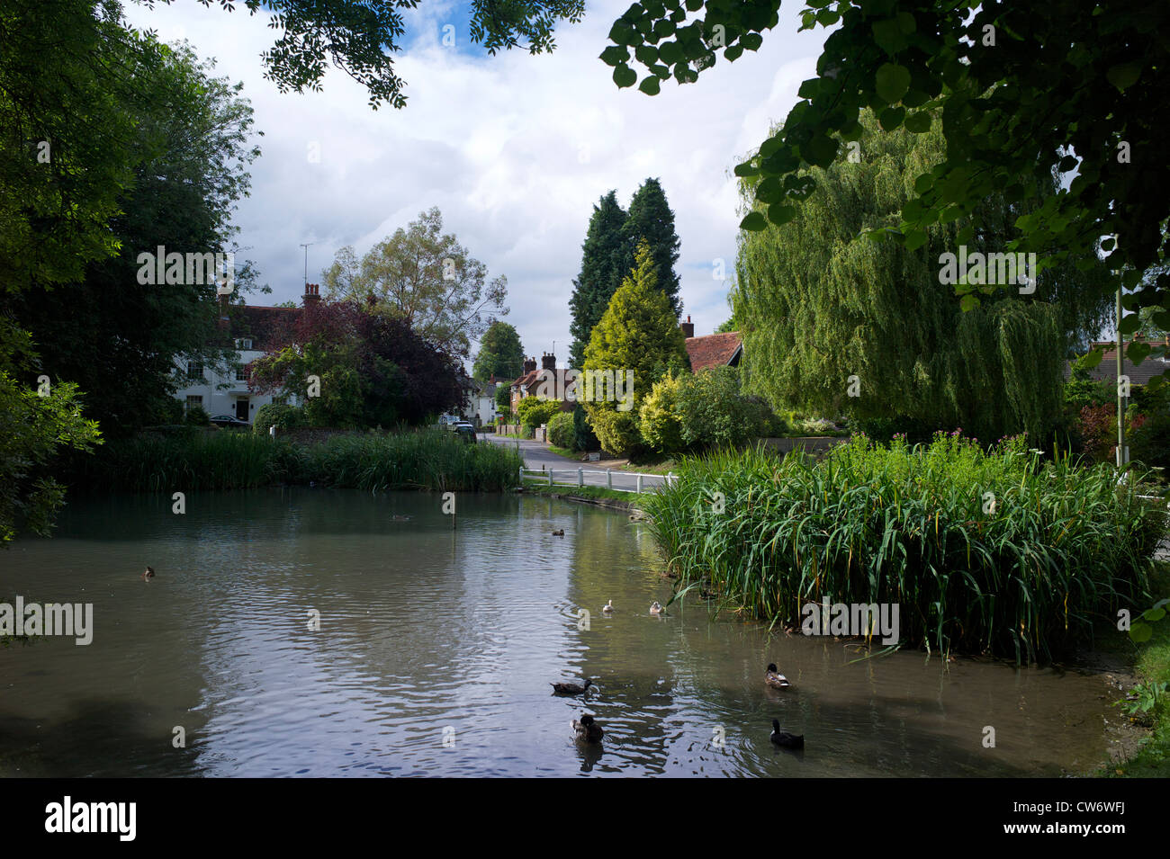 Village pond, Buriton Hampshire UK Stock Photo - Alamy