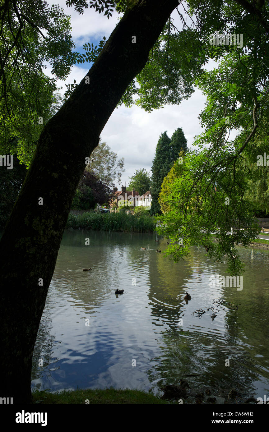 Buriton hampshire hi-res stock photography and images - Alamy