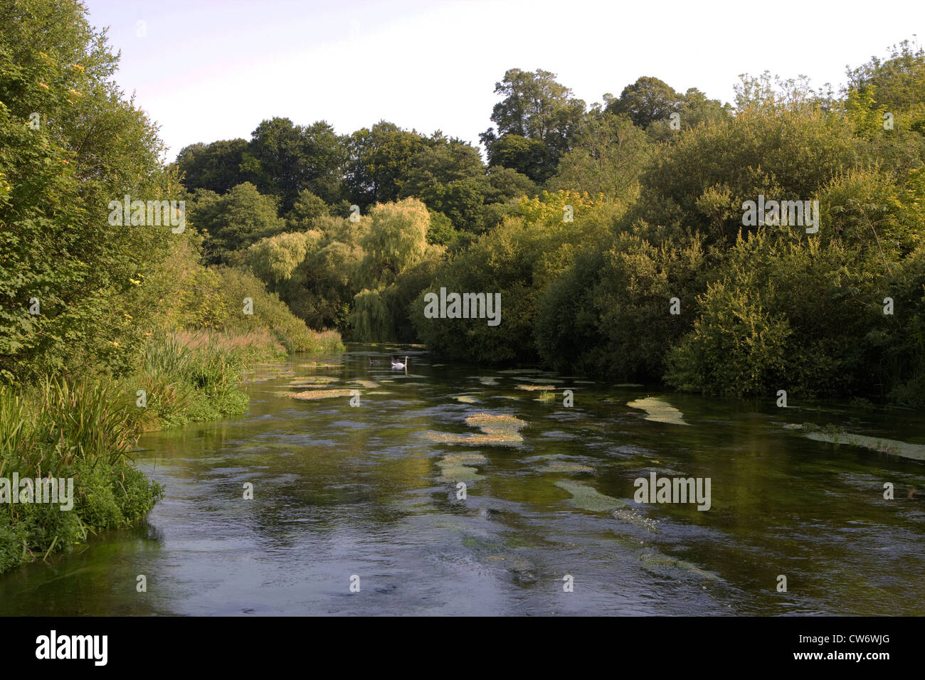 Hampshire chalk stream fishing hi-res stock photography and images - Alamy