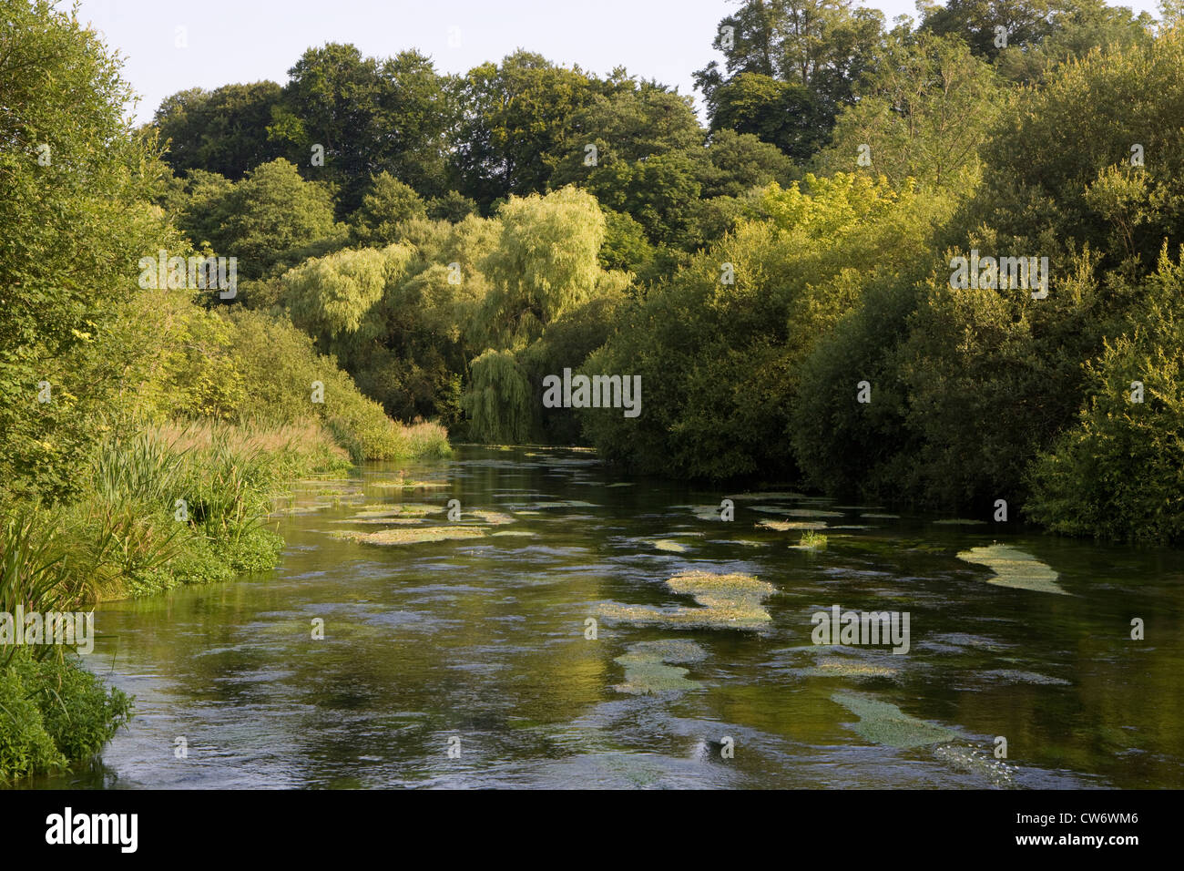 Hampshire: River Itchen Stock Photo - Alamy
