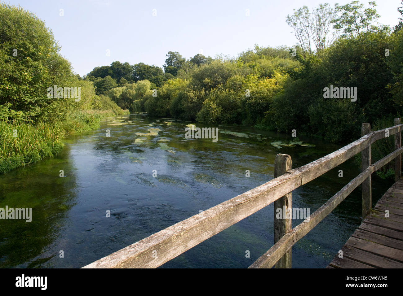 Hampshire: River Itchen Stock Photo - Alamy