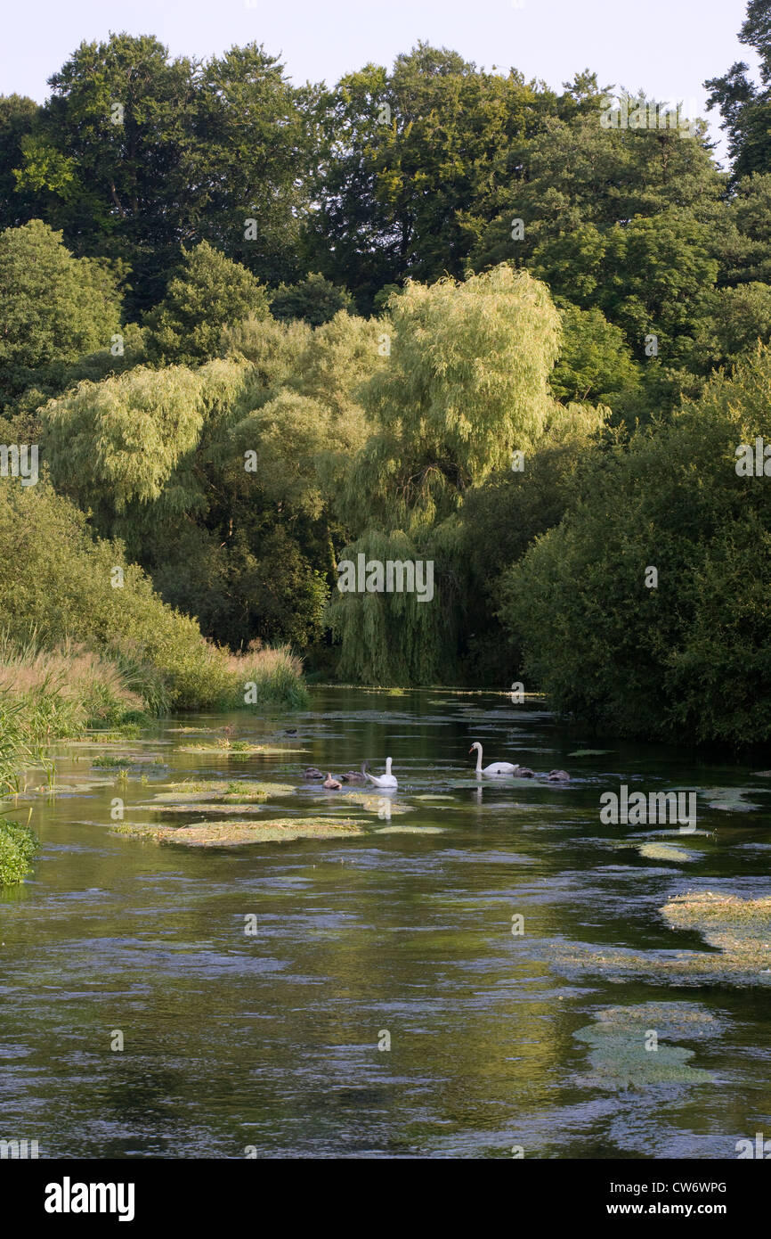Hampshire: River Itchen Stock Photo - Alamy