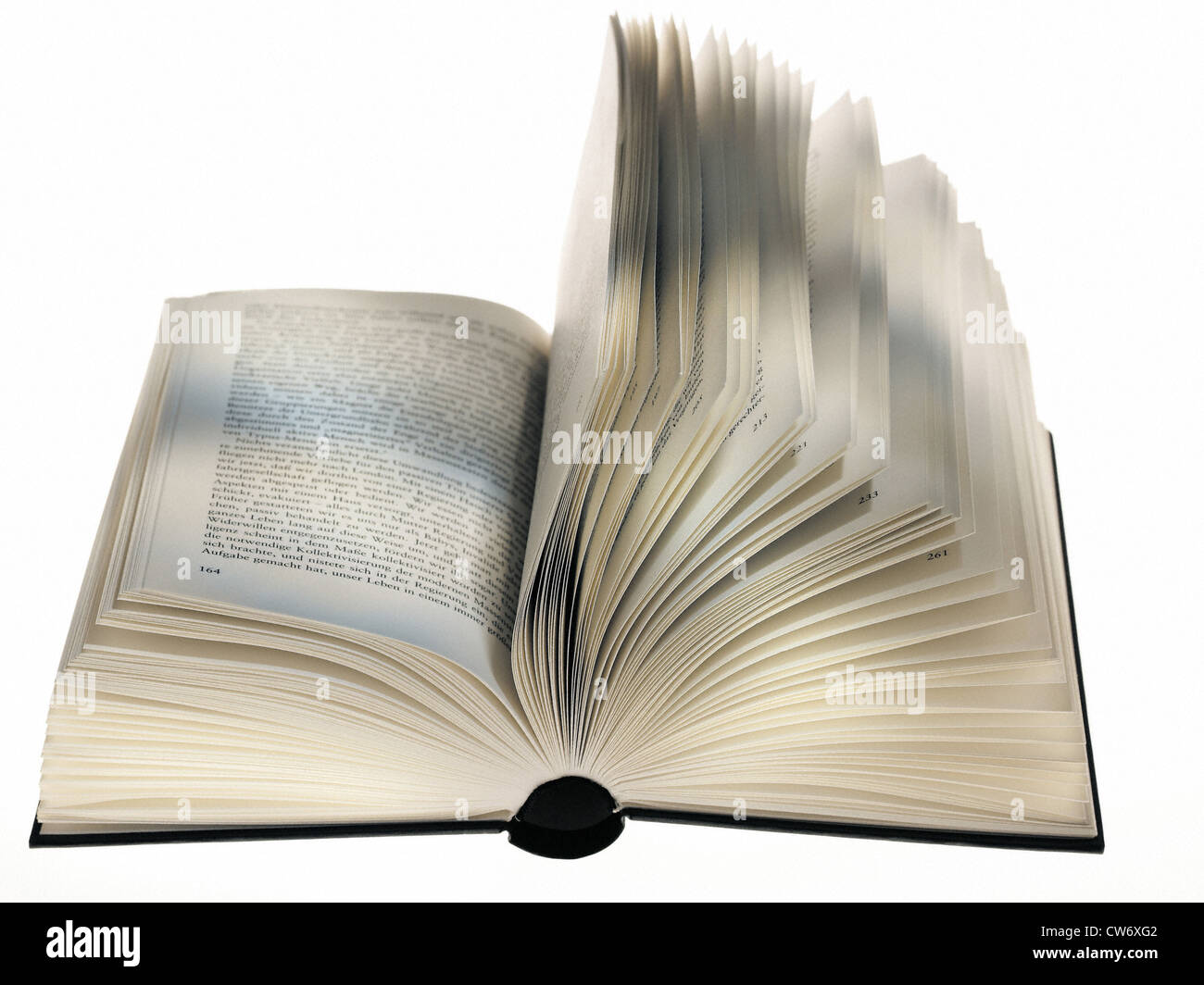 Open book from above cut out hi-res stock photography and images - Alamy