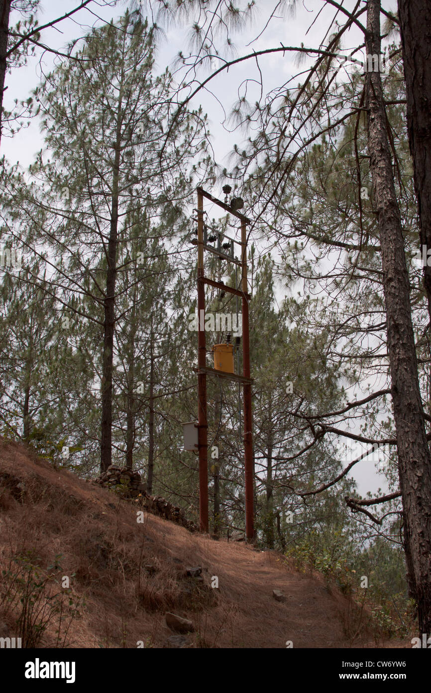 Electric junction box in the woods of Uttarakhand, located on a slope ...