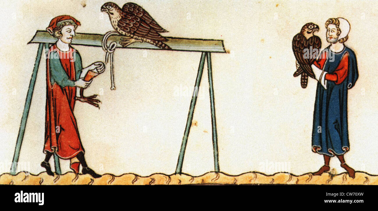 Manuscript, Falconry in the 12th century Stock Photo - Alamy