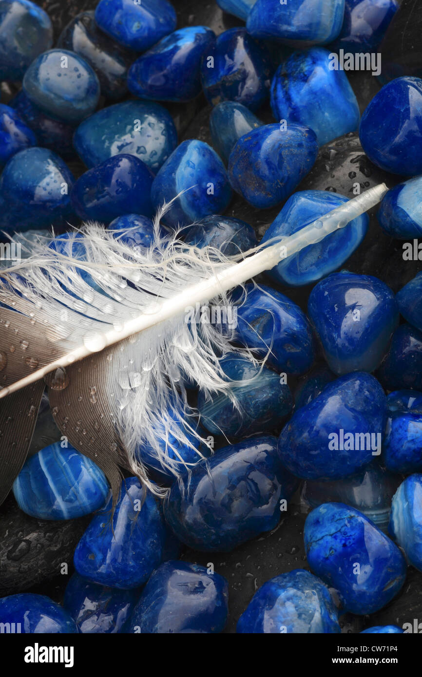 Precious feather hi-res stock photography and images - Alamy