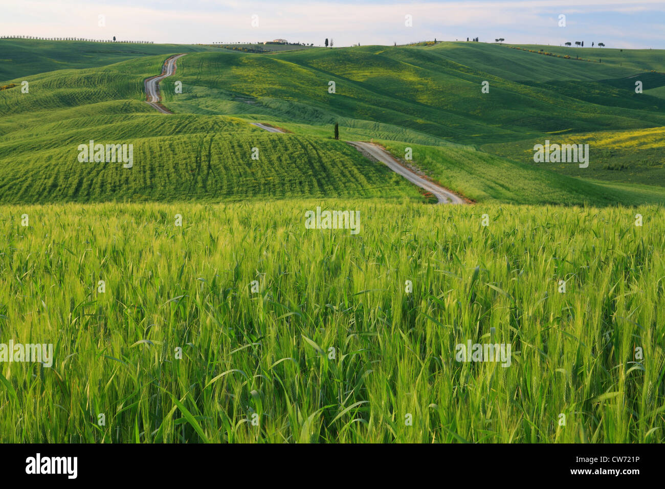 Scenic corn fields hi-res stock photography and images - Alamy