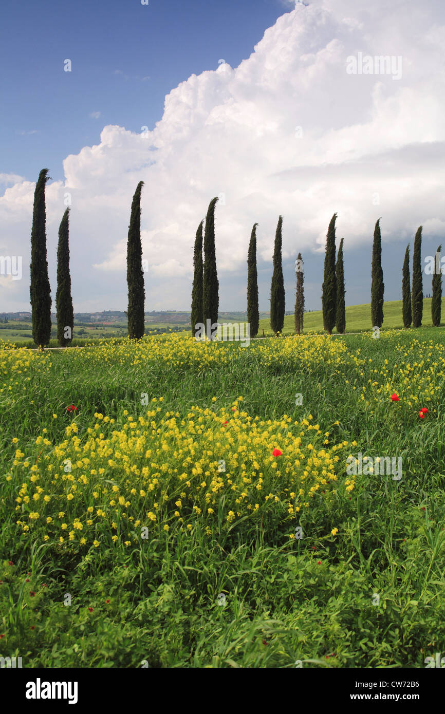 Fallow land hi-res stock photography and images - Alamy