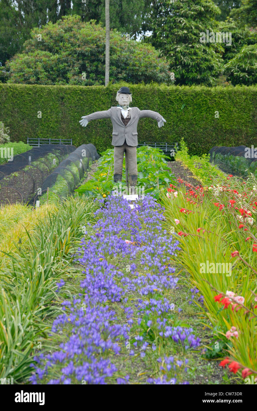 The scarecrow Diggory at the Lost Gardens of Heligan, Cornwall Stock ...
