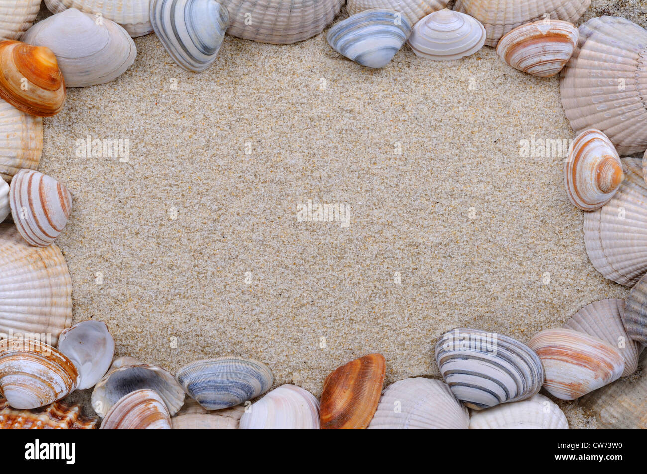 Picture shells hi-res stock photography and images - Alamy