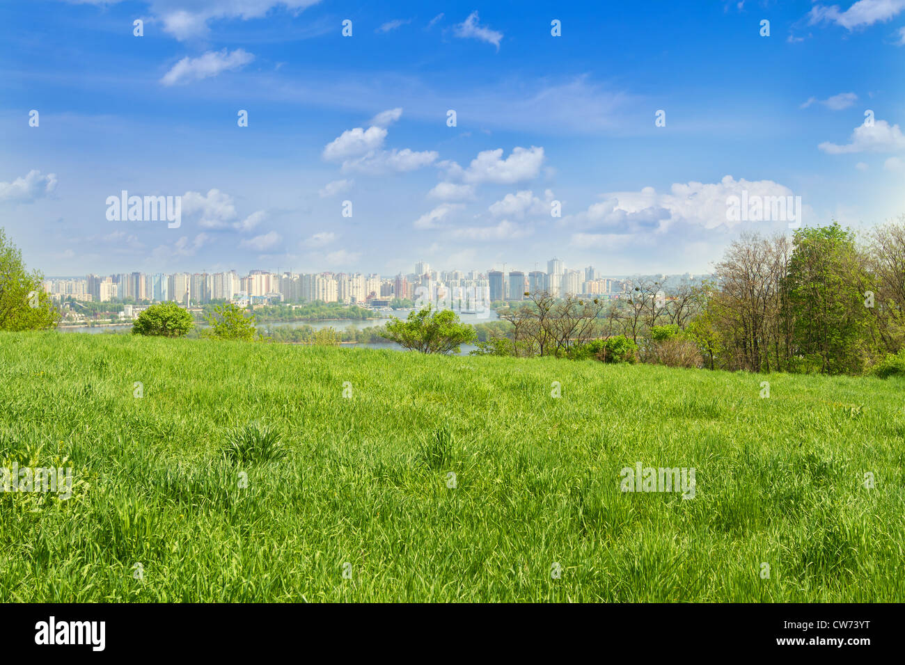 Spring meadow with big tree with fresh green leaves Stock Photo - Alamy