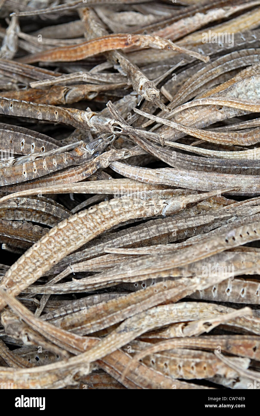 China Fish Curing High Resolution Stock Photography and Images - Alamy