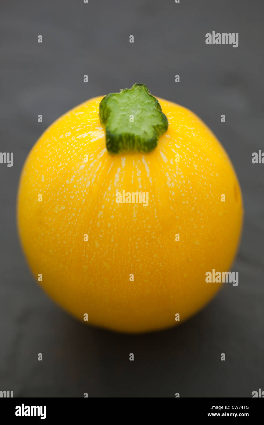 Round courgette plant hi-res stock photography and images - Alamy