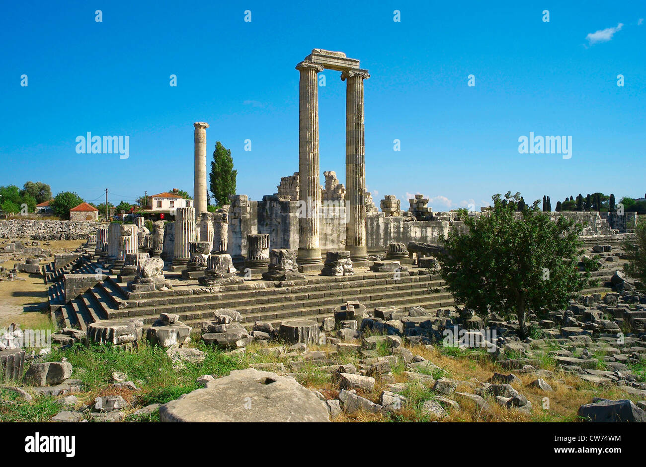 Apollo temple in Didim, Turkey, West Anatolia, Didim Stock Photo - Alamy