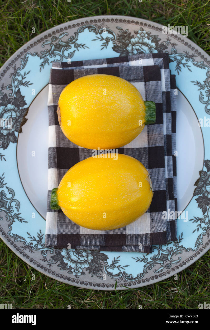 Yellow Round Courgettes Stock Photo - Alamy