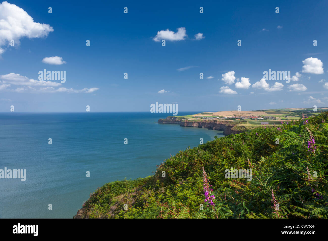 Views from Boulby Cliff looking towards Staithes Stock Photo - Alamy