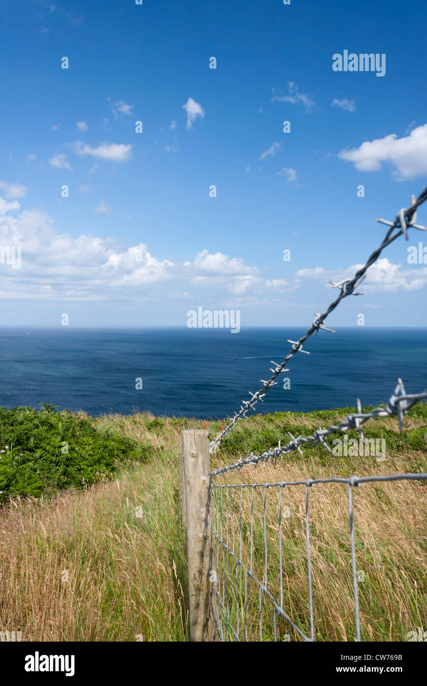 Boulby Cliffs High Resolution Stock Photography and Images - Alamy
