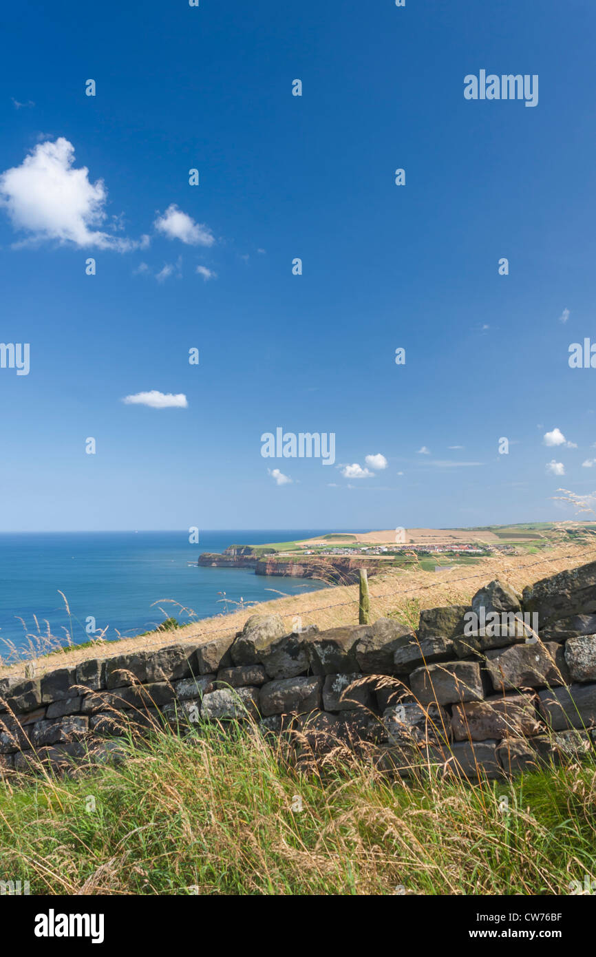Views from Boulby Cliff looking towards Staithes, in the foreground a ...