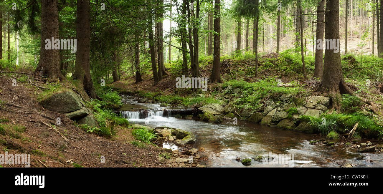 Landscape view forest mountains hi-res stock photography and images - Alamy