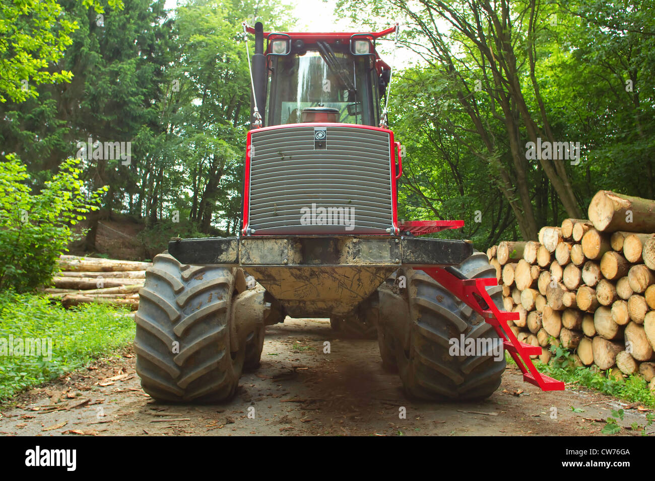 Forwarder on forest path, Germany Stock Photo - Alamy