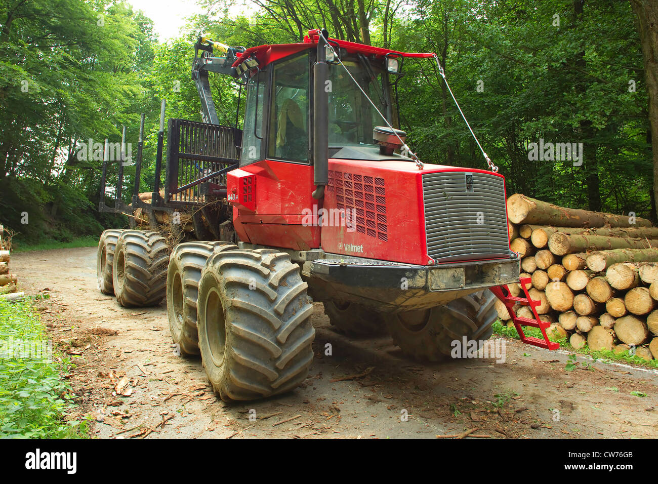 Forwarder on forest path, Germany Stock Photo - Alamy