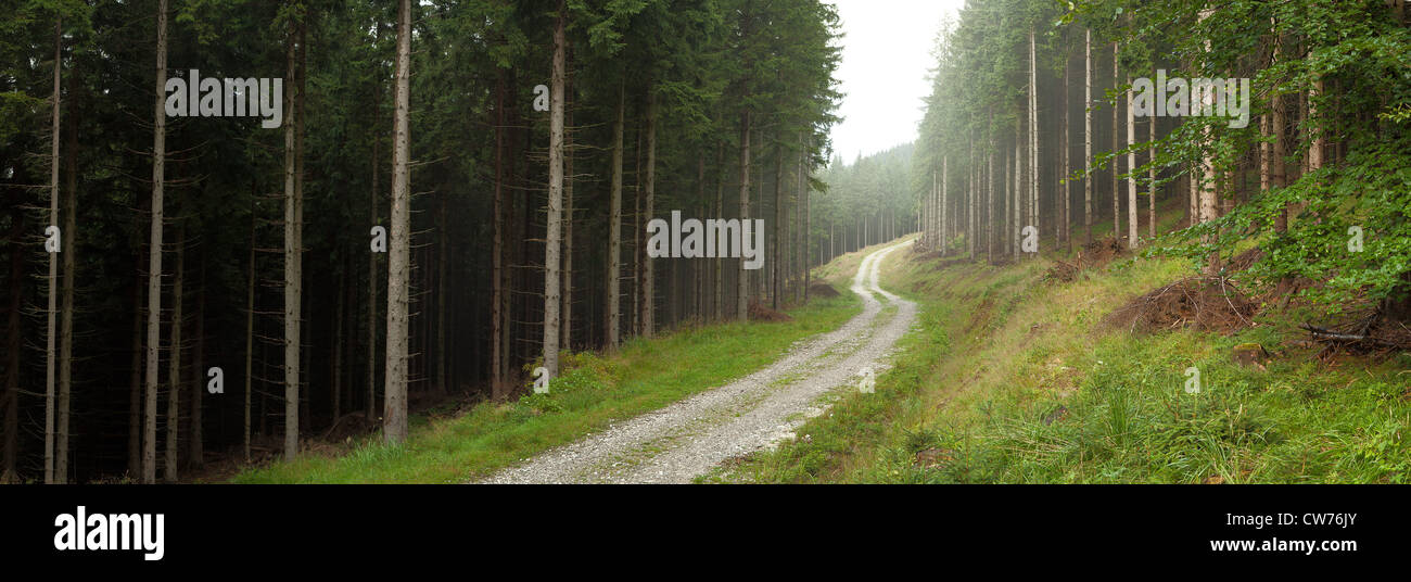 Turning in the road hi-res stock photography and images - Alamy