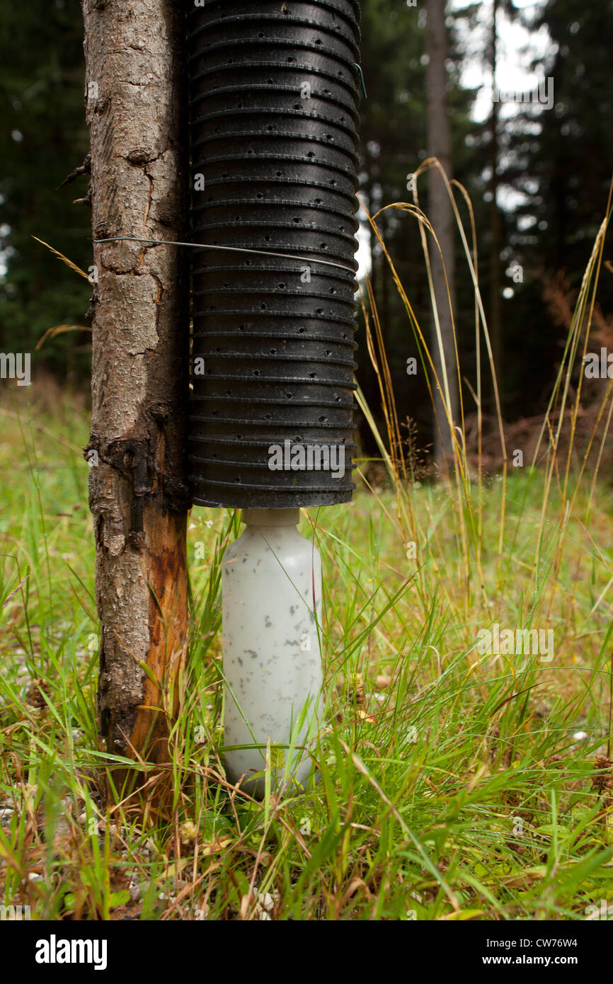 forest protect against tree pests, container in forest, insect trap ...