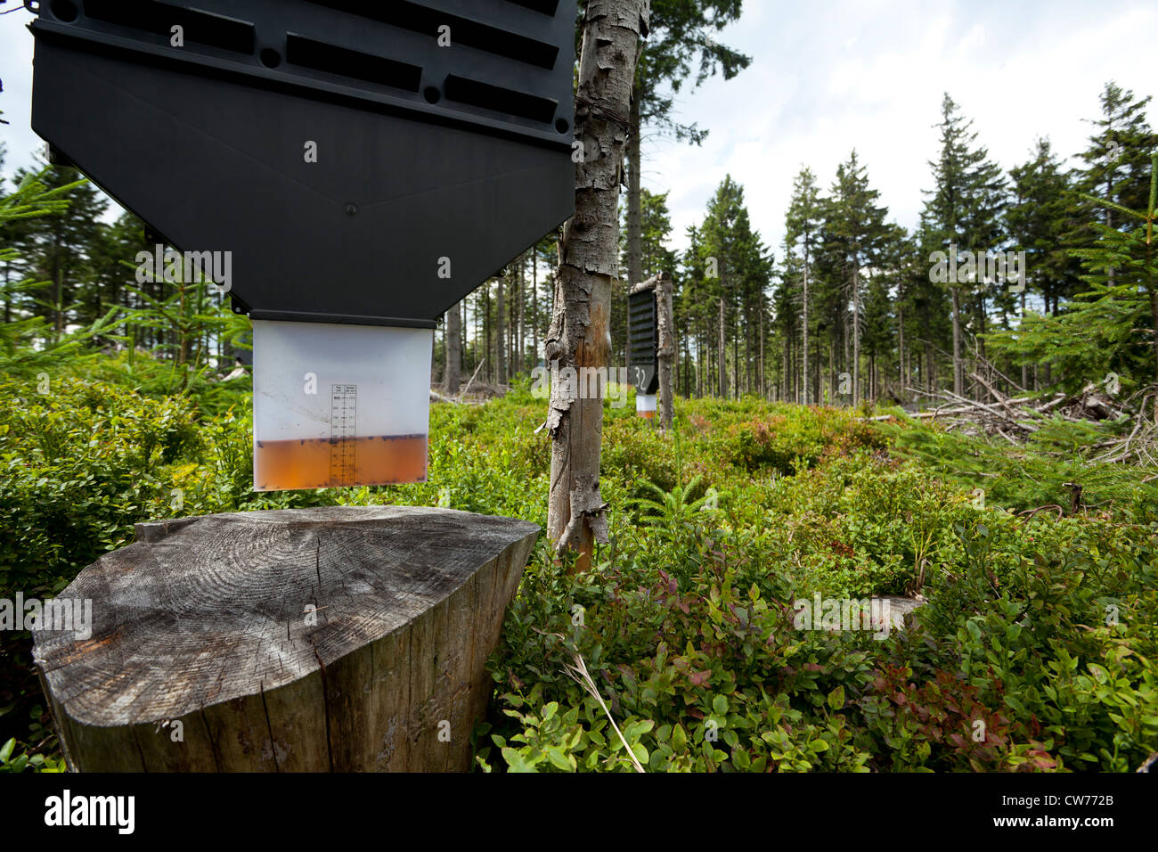 forest protect against tree pests, container in forest, trap Stock ...