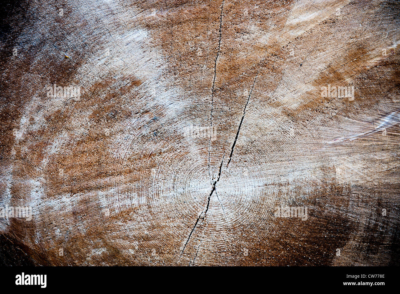 Cross section pattern background hi-res stock photography and images ...