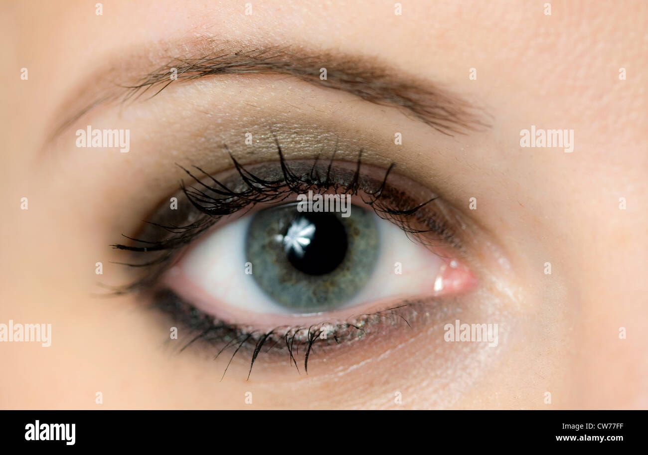 Horizontal section human eye hi-res stock photography and images - Alamy