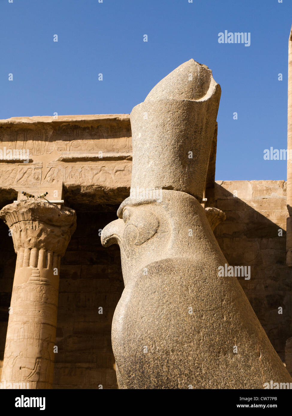 Statue of God Horus at the Temple at Edfu in Egypt which is dedicated ...