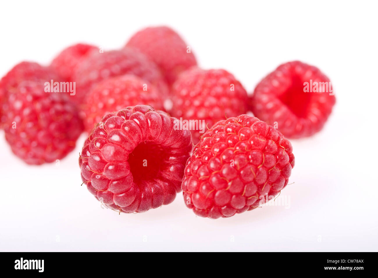 European red raspberry (Rubus idaeus), Raspberries Stock Photo - Alamy