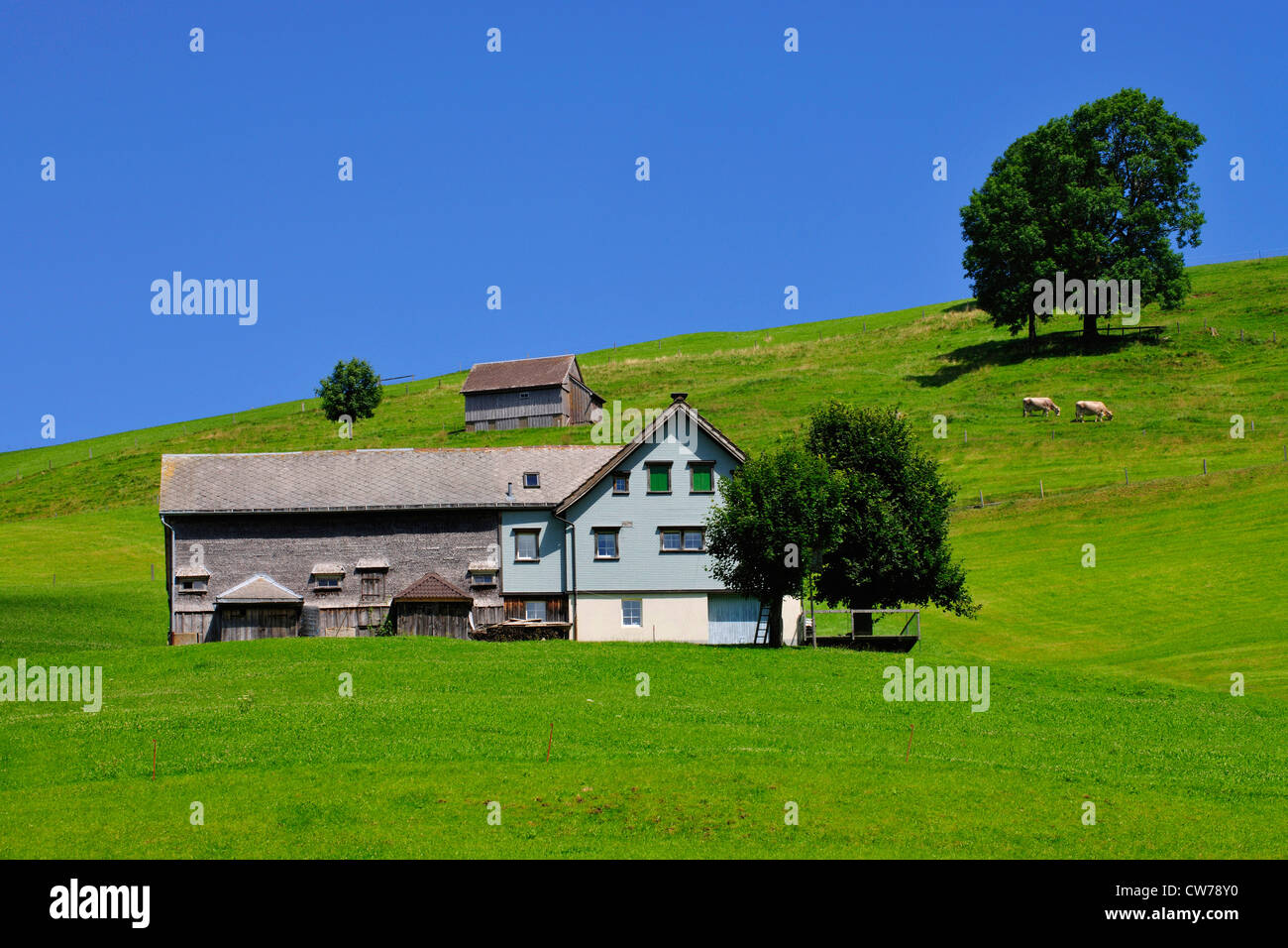Switzerland farmhouse hi-res stock photography and images - Alamy